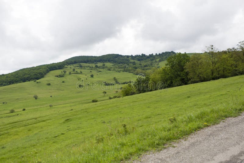 Full of Life Hill Landscape and Forest Stock Image - Image of field ...