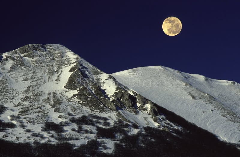 Full moon stock image. Image of dusk, nature, moon, rising - 2611935
