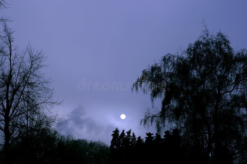 Full moon over forest stock photo. Image of forested - 12620580
