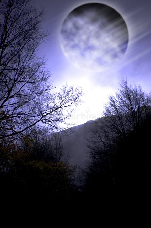 938 Phase Moon Tree Felling Stock Photos - Free & Royalty-Free Stock ...