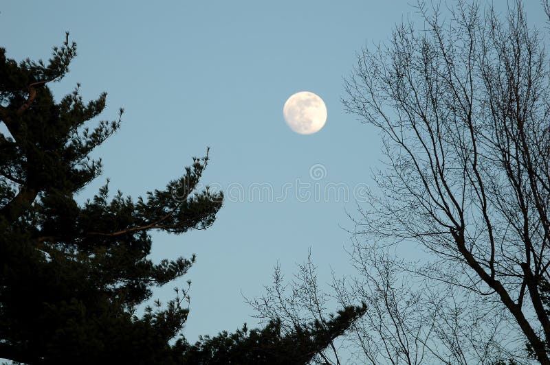 Full moon stock image. Image of night, moons, skies, moon - 706901