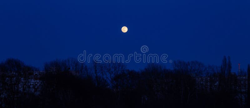 Full Moon Above Trees on the Top of a Clear Night Sky Stock Image ...