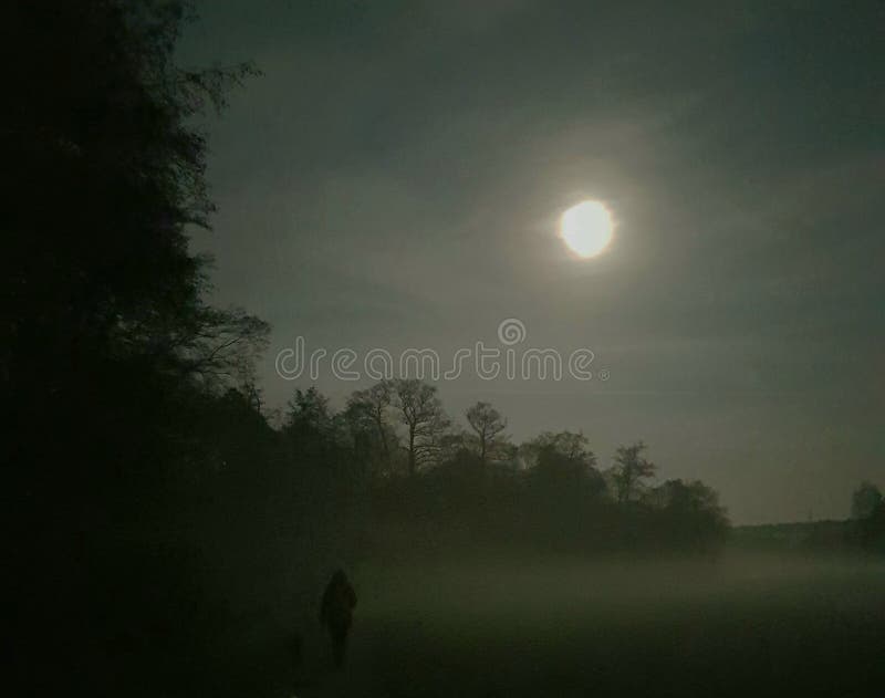 Full moon stock photo. Image of alone, night, full, nature - 104564676