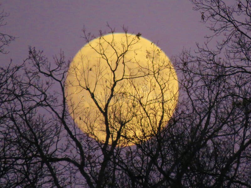 Full Moon stock image. Image of full, harvest, shrouded - 97180785