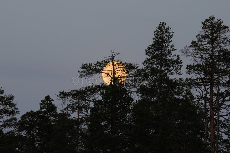 North Sea Summer Sunset, Oostende, Belgium Stock Image - Image of ...