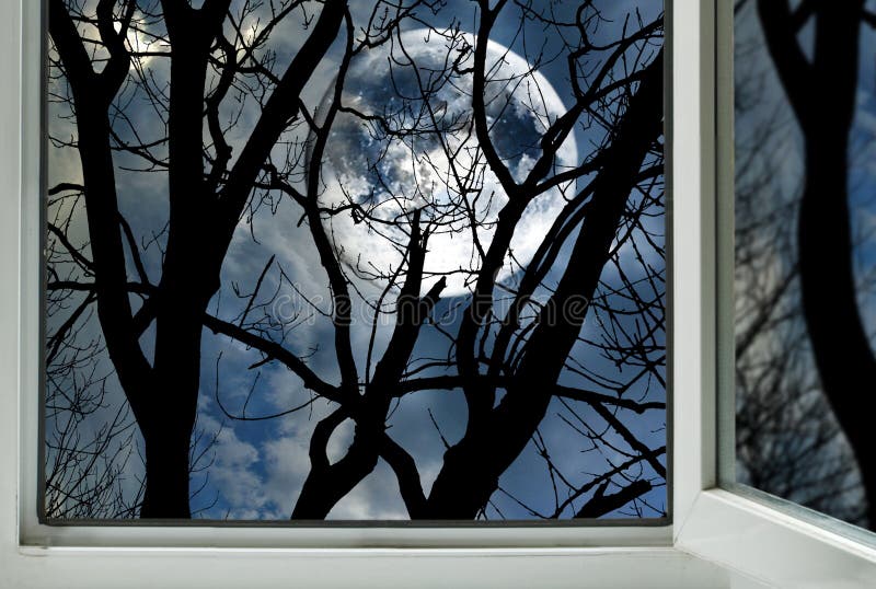 333 Moon Behind Tree Branches Stock Photos - Free & Royalty-Free Stock ...