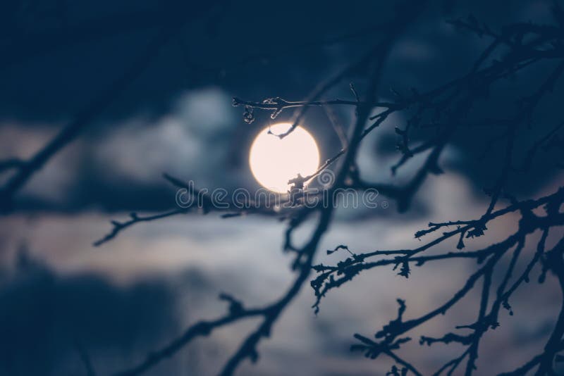 Full Moon Behind Tree Branches at Night - Midnight Cloudscape Stock ...