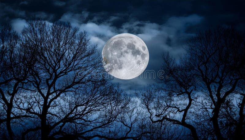 Full Moon Behind Tree Branches at Night - Midnight Cloudscape Stock ...