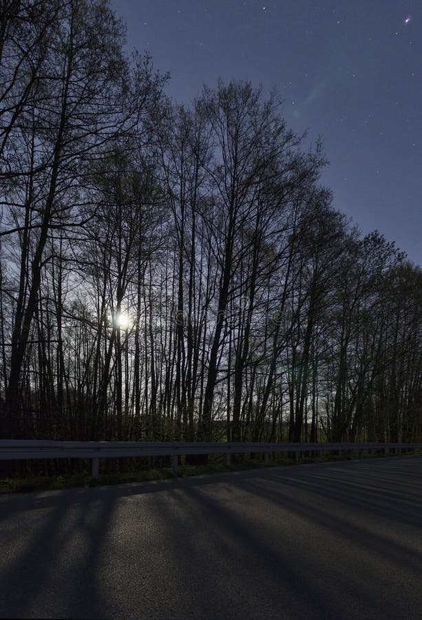 Full moon behind trees stock image. Image of light, landscape - 80020779