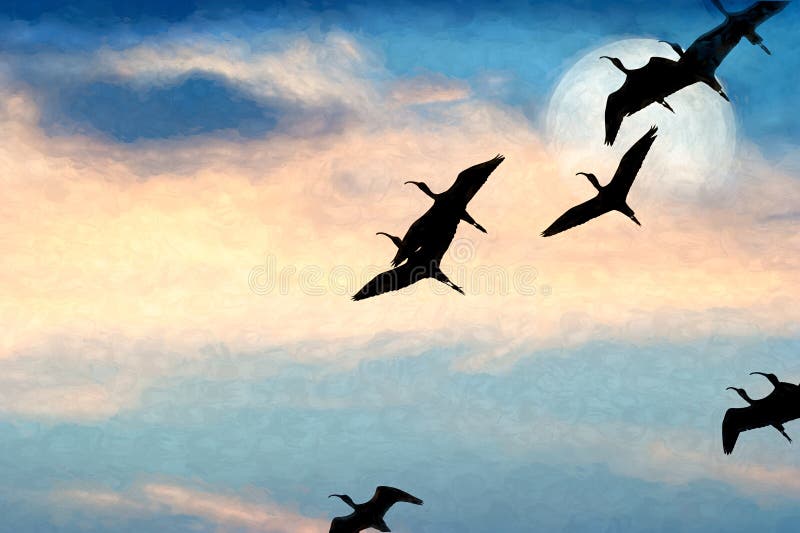 Full Moon Birds stock photo. Image of night, surreal - 184013604