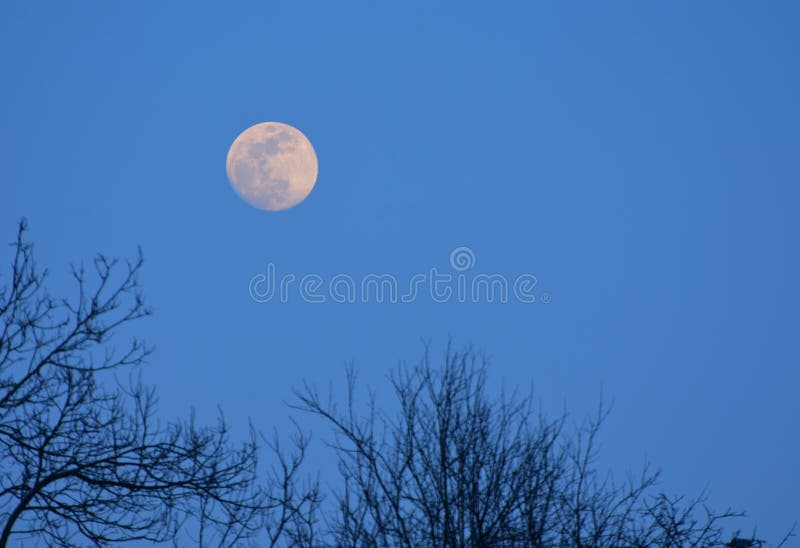 Full Moon Blue Hour Sky stock photo. Image of atmosphere - 113322778