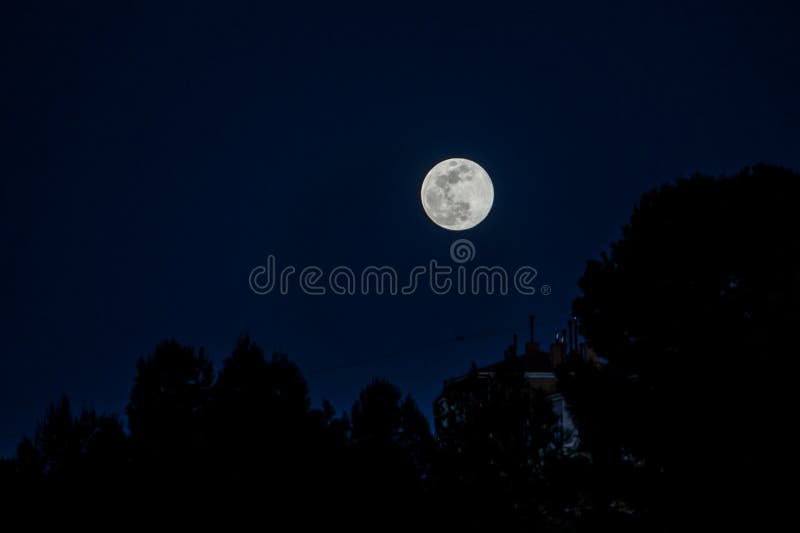 Full Moon in a Clear Night Sky Over the Trees and Buildings Stock Photo ...