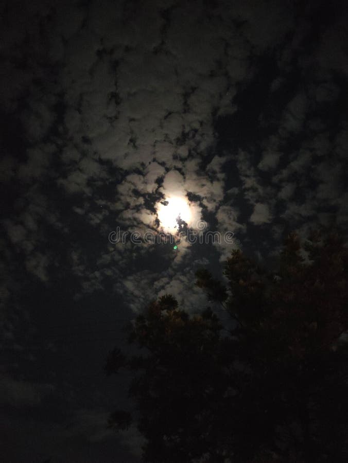 Full moon on a cold nights stock photo. Image of black - 221220286