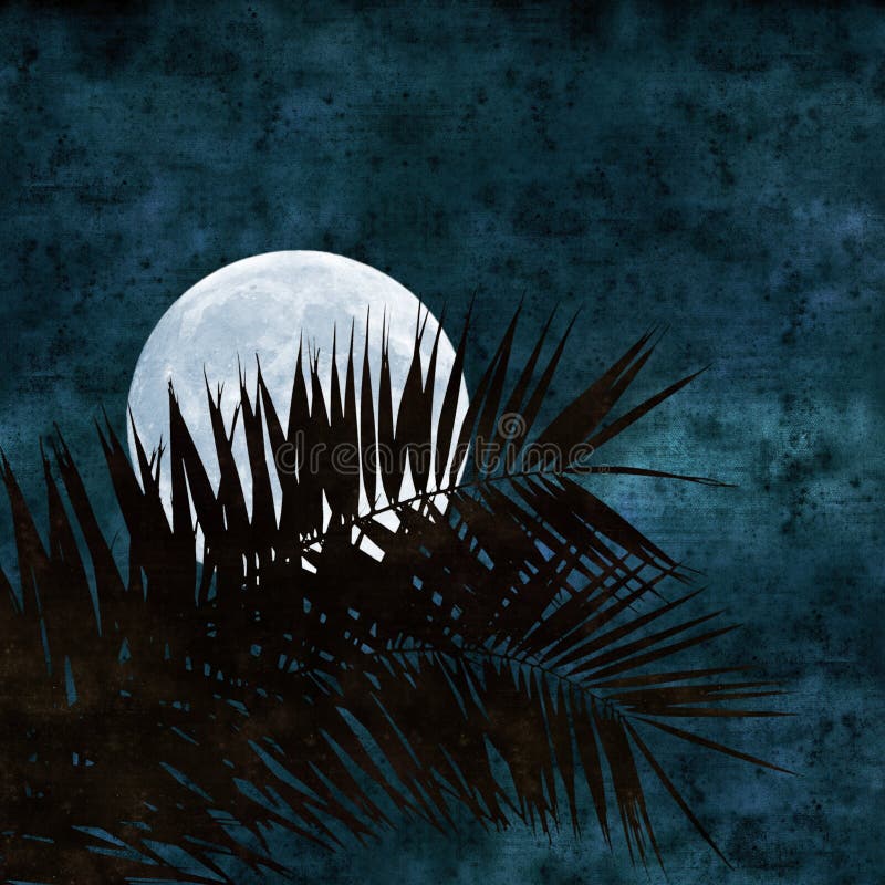 Full moon collage stock illustration. Illustration of palmera - 31824500