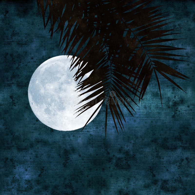 Full moon collage stock illustration. Illustration of interesting ...