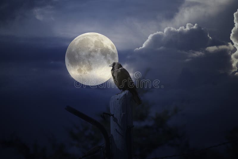 Full moon crow stock illustration. Illustration of mystery - 95136413