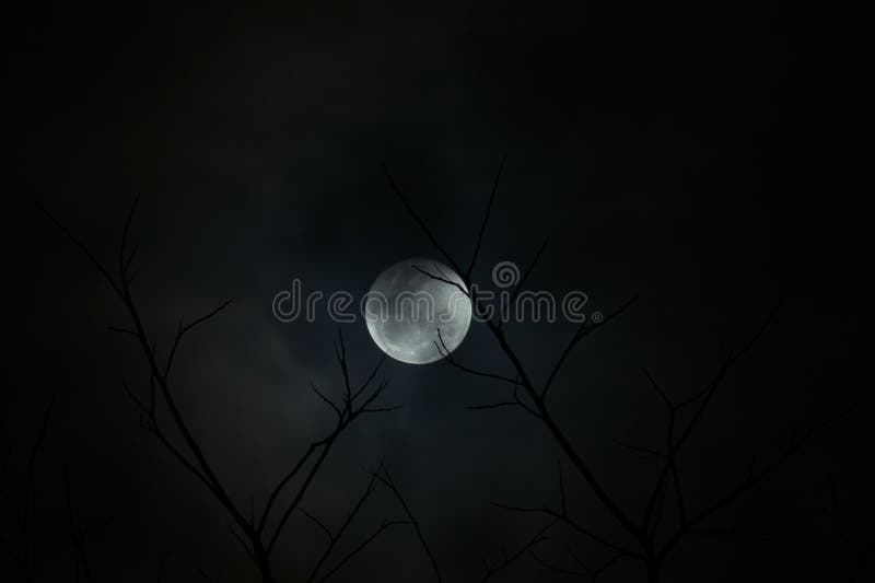The Full Moon in the Dark Night Stock Image - Image of clouds ...