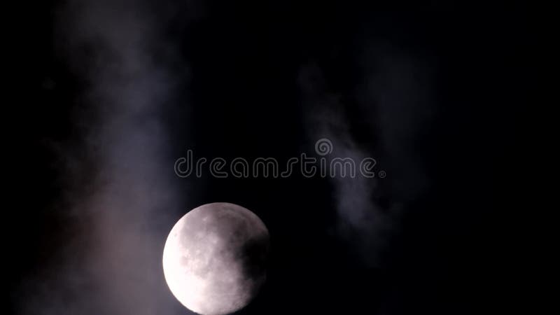 Full Moon in the Dark Night Sky. Vertical Video Stock Video - Video of ...