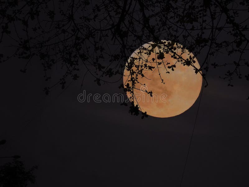 Full moon day picture stock illustration. Illustration of pattern ...