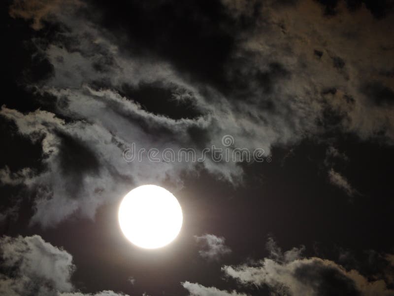 Full Moon of Flowers in Spring, Mollerussa, Lerida, Spain, Europe Stock ...