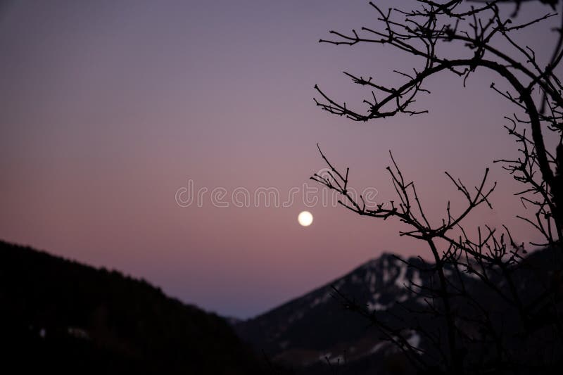 Full Moon in Front of an Atmospheric Evening Sky in Winter. Stock Image ...