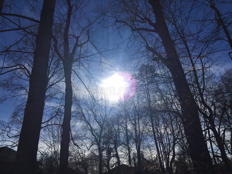 Full moon stock image. Image of full, moon, trees, fall - 158412079