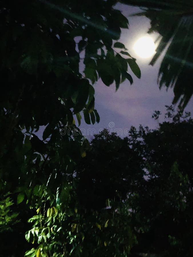 Full Moon stock image. Image of 2020, moon, full, march - 175650367