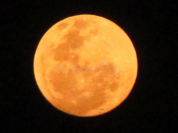 A full moon stock image. Image of moonlight, star, quail - 280830611