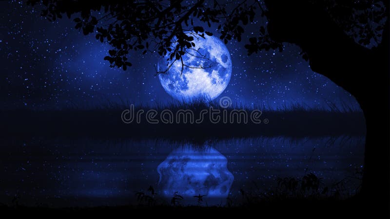 Full Moon and Calm River and Grassland at Nightscape Stock Illustration ...