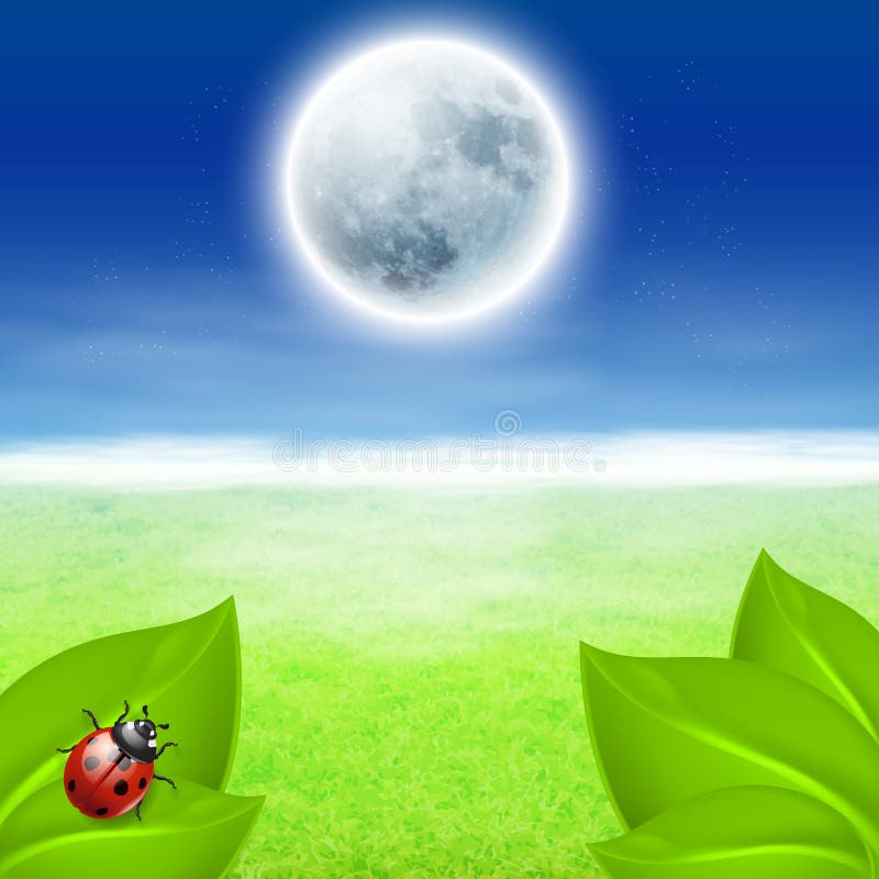 Realistic Ladybug Shadow Stock Illustrations – 79 Realistic Ladybug ...