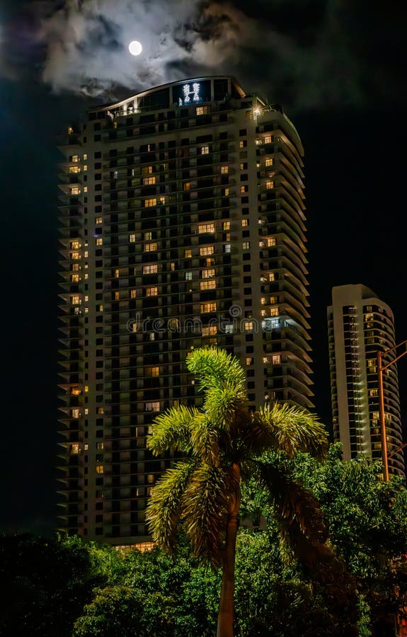 Miami Beach Full Moon 308 Miami Moon Stock Photos Free