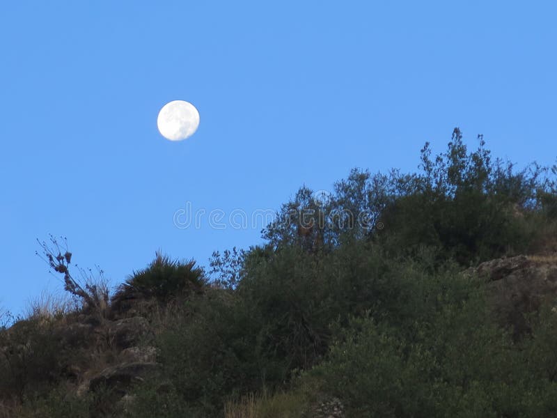 Full Moon and hills stock image. Image of astronomy, rural - 81814707