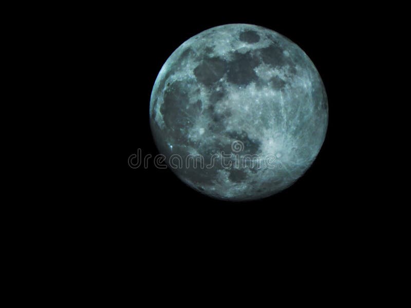 January Wolf Full Moon in Eerie Shade of Blue Stock Photo - Image of ...