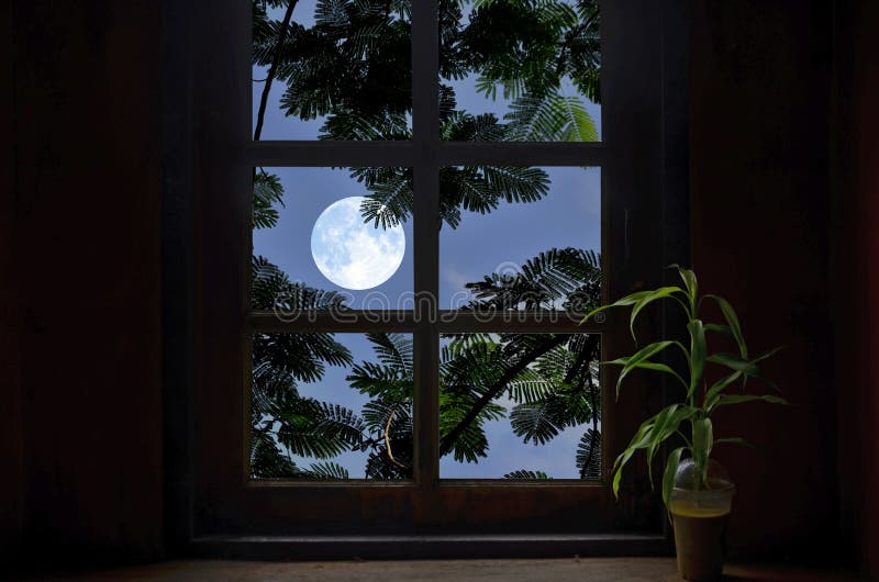 Full Moon and Leaves in Window Frame Stock Image - Image of dark ...
