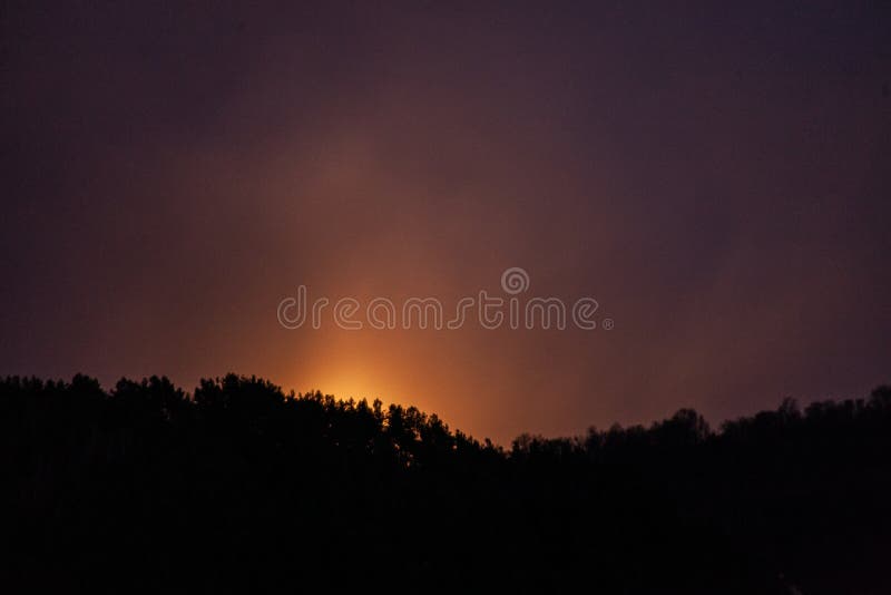 Moon Light Behind the Trees Stock Photo - Image of tree, moon: 261068782