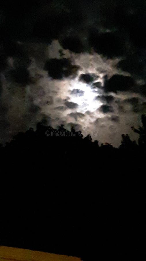 Full moon madness stock image. Image of full, moon, madness - 162454319