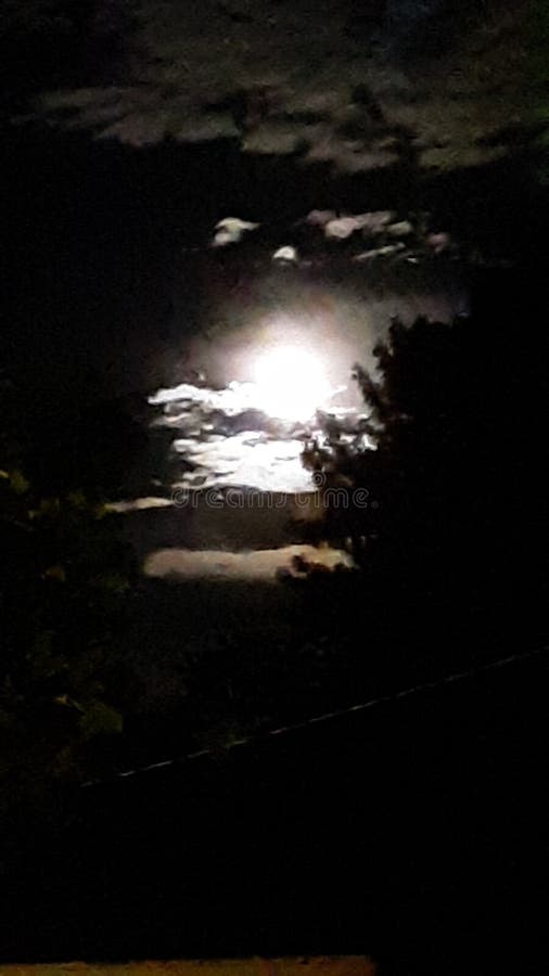 Full moon madness stock image. Image of full, hazyskies - 162454351