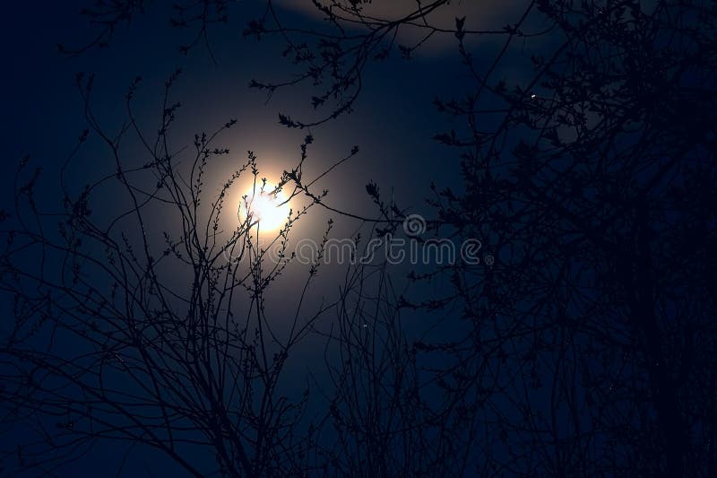 Full Moon in May - Full Moon in the Night Sky and Silhouettes of Stock ...