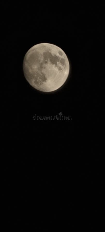 Full moon midnight stock photo. Image of circle, moonlight - 225040706