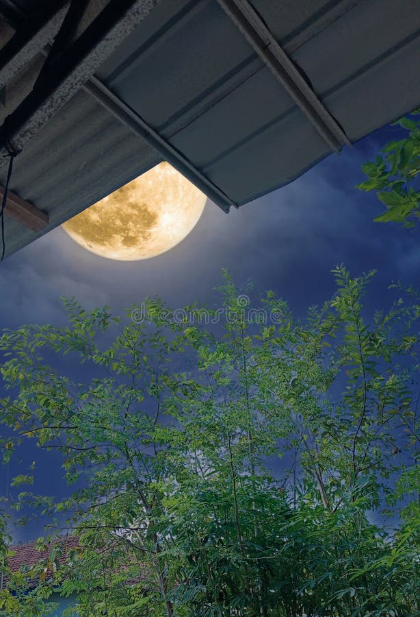 Full moon at midnight stock image. Image of shows, full - 357590309