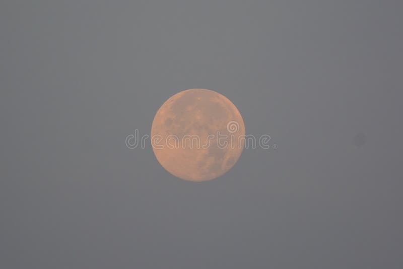 Full moon in the morning stock photo. Image of moon - 140262094