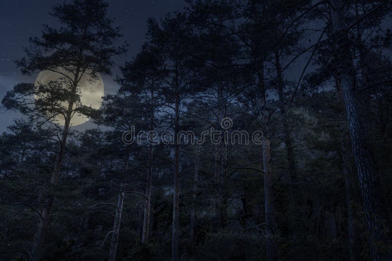 1,505 Full Moon Woods Stock Photos - Free & Royalty-Free Stock Photos ...