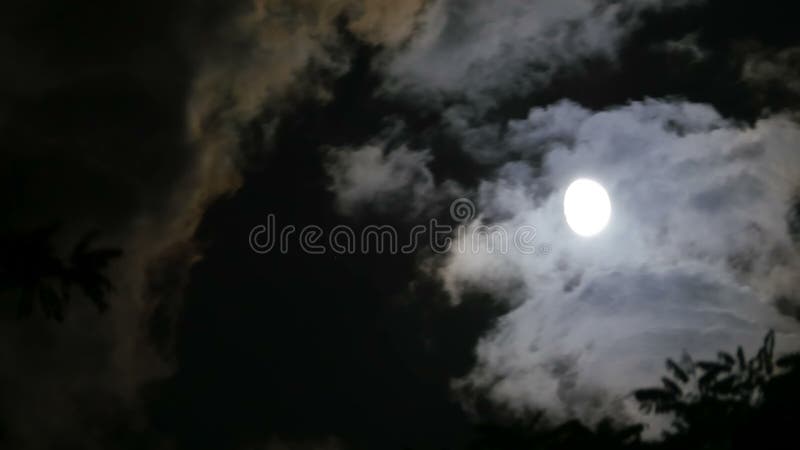 Full Moon Moves through the Clouds in the Night Sky. Timelapse Stock ...