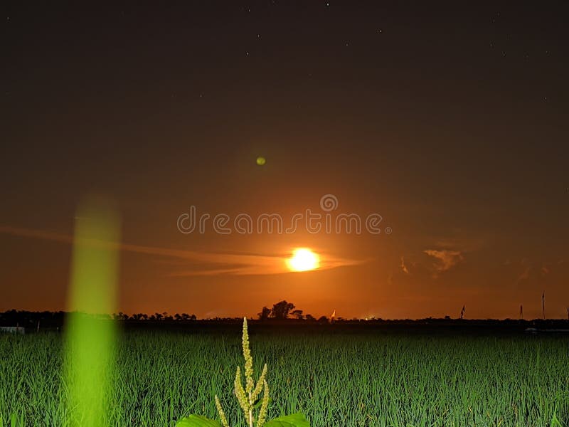 Full Moon at Night in the Beautiful Rice Fields Stock Image - Image of ...
