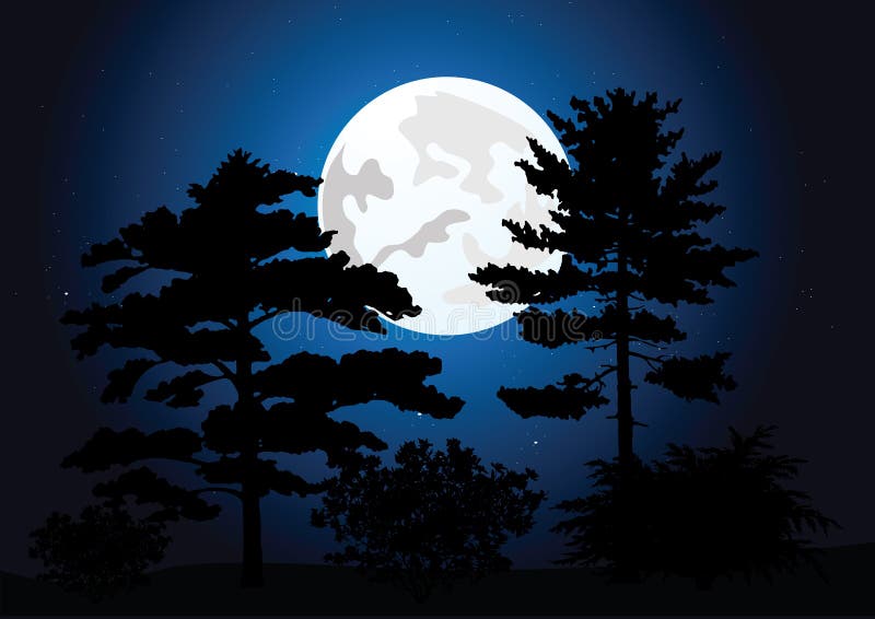 Full Moon in a Night Forest Stock Vector - Illustration of wood, full ...