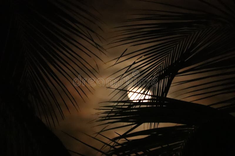 The full moon night in Goa stock image. Image of travel - 322593339