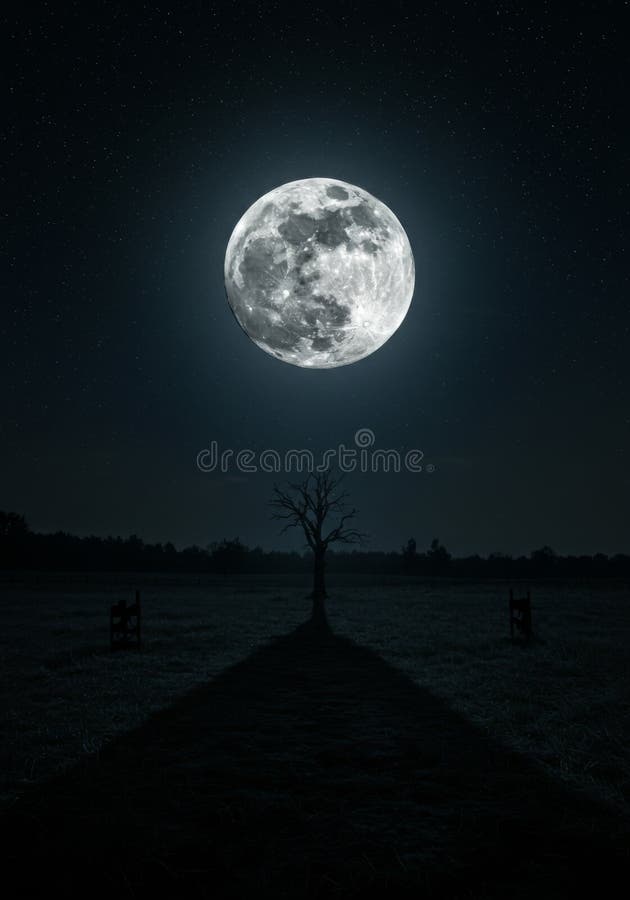 Full Moon Night Landscape with Silhouetted Tree Stock Illustration ...