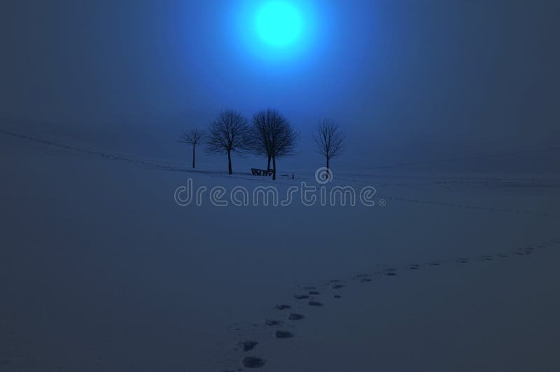 Full moon at night stock image. Image of mood, branches - 210391327