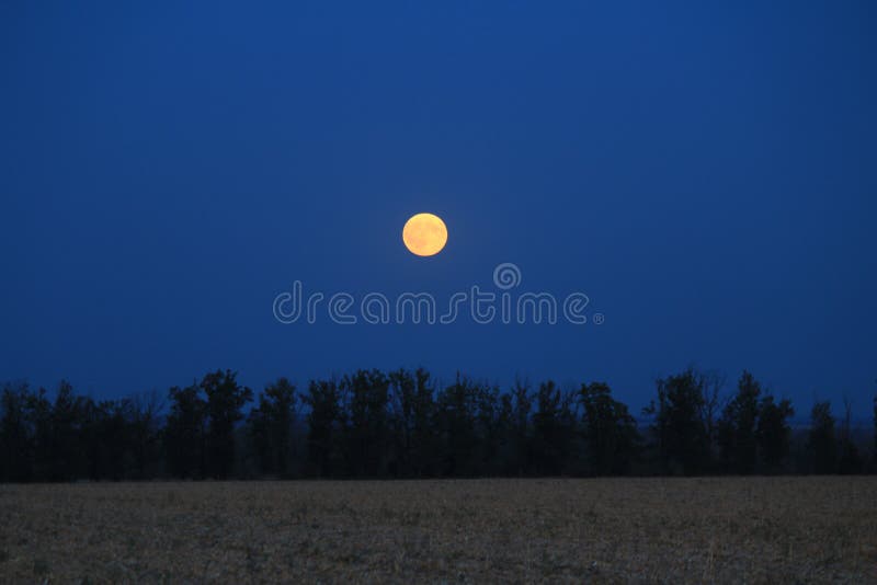 Full Moon stock image. Image of desktop, nightnfull, detailsnsaw - 83560087