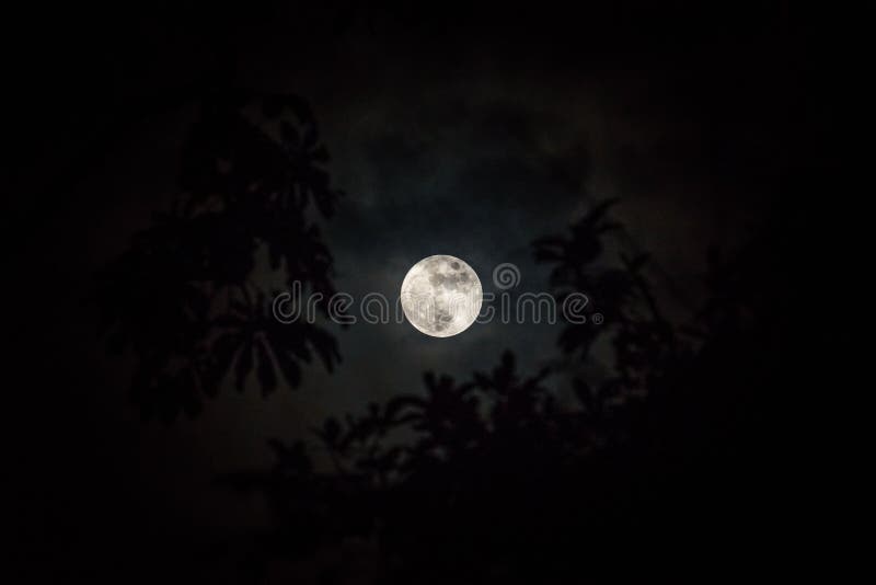 Full moon in night sky stock photo. Image of galaxy - 268086834